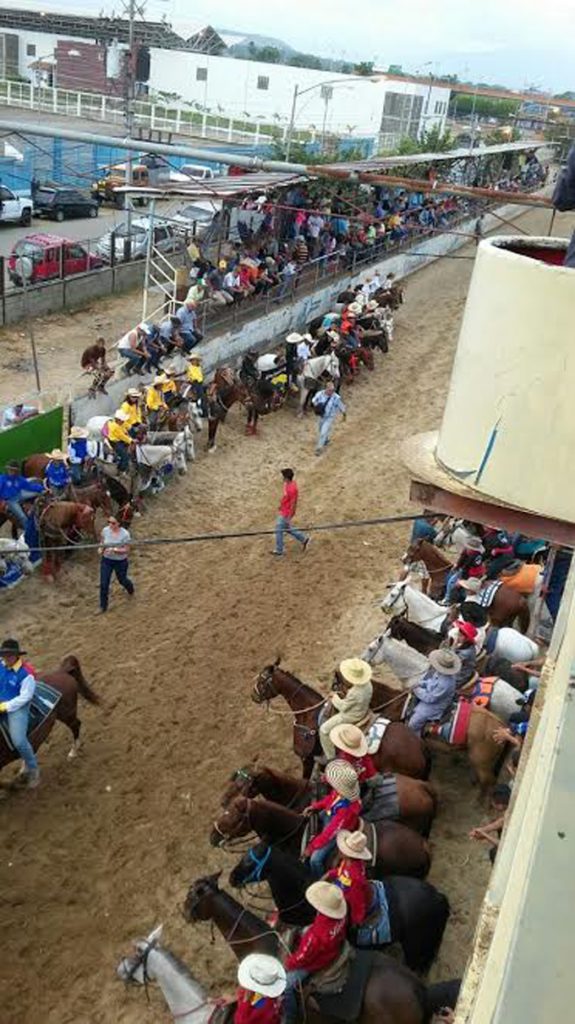 Vargas nuevo campeón nacional de coleo en la categoría “destete”