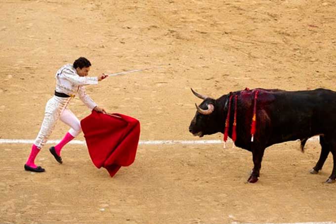 ¡Impresionante! Vea aquí como un torero es corneado por el ano